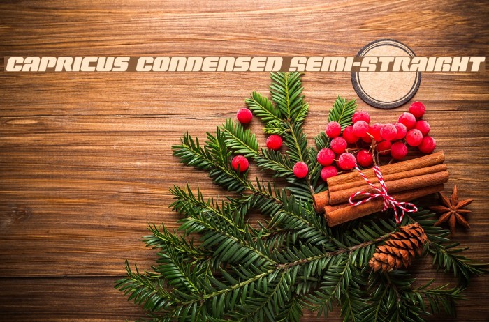 Capricus Condensed Semi-Straight Font - FFonts.net