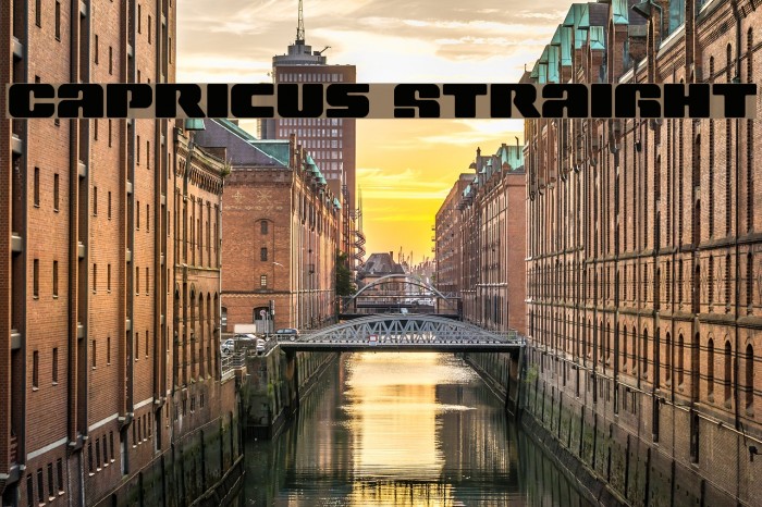 Capricus Straight Font - FFonts.net