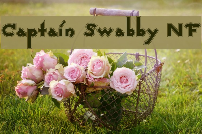 Captain Swabby NF Font - FFonts.net