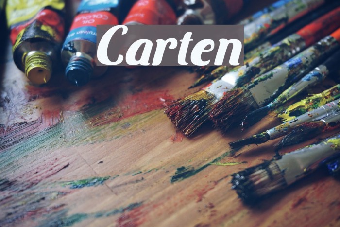 Carten Font - FFonts.net