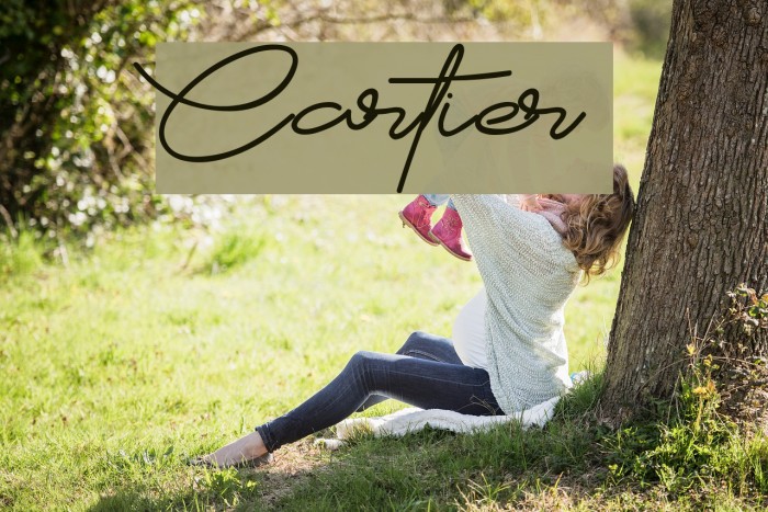 Cartier Font - FFonts.net