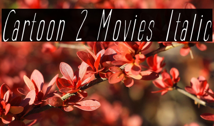 Cartoon 2 Movies Italic Fonte - FFonts.net