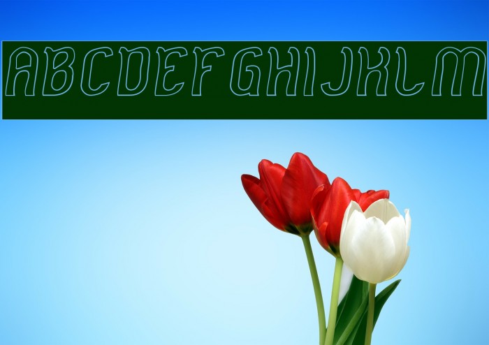 Cat Eyes-Hollow-Inverse Font - FFonts.net