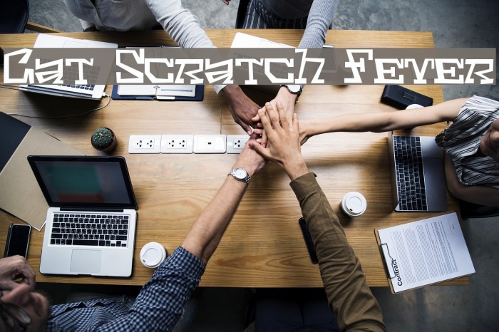 Cat Scratch Fever Font - FFonts.net