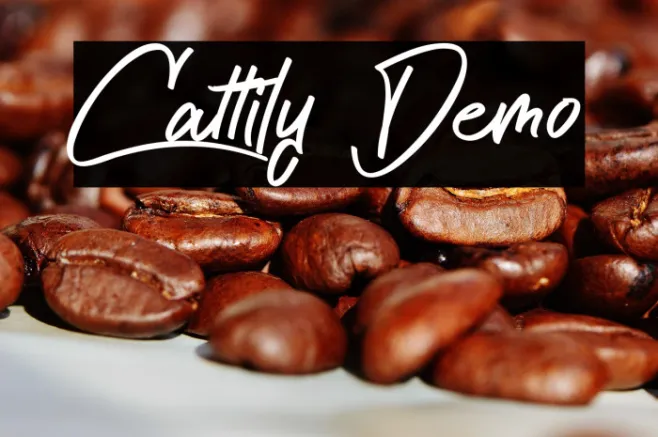 Cattily Demo Font | Free Download (TTF/OTF) | FFonts.net