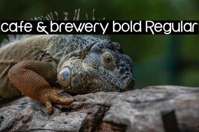 cafe & brewery bold Regular Font | Free Download (TTF/OTF)