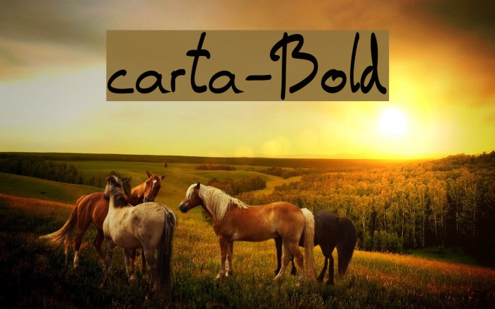 carta-Bold Font - FFonts.net