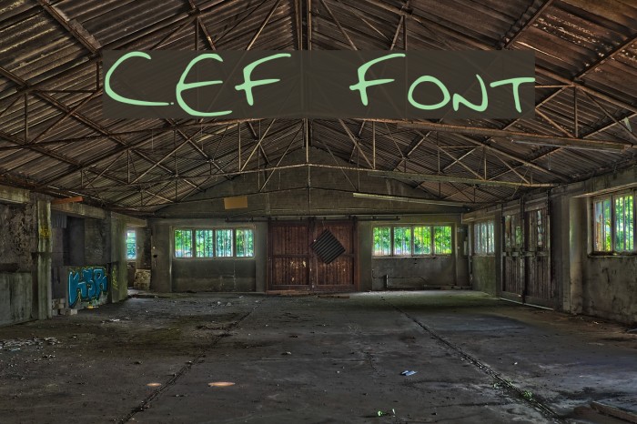 CEF Font - FFonts.net