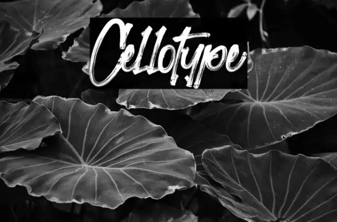 Cellotype Font | Free Download (TTF/OTF) | FFonts.net