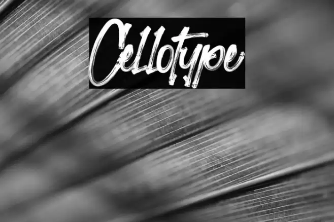 Cellotype Font - Free Download (TTF/OTF) | FFonts.net