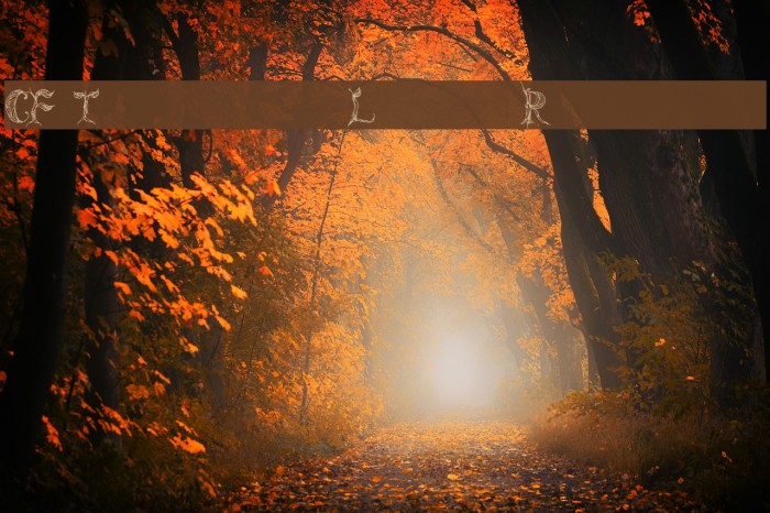 CF Tree of Life Regular Font - FFonts.net