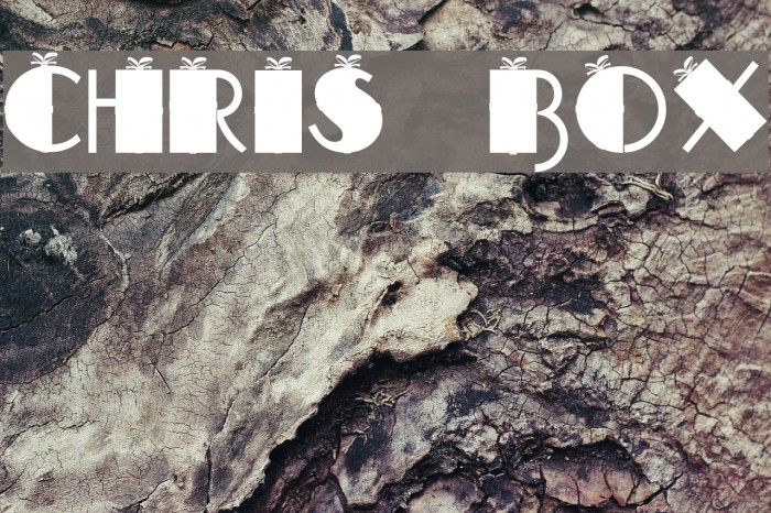 CHRIS BOX Font - FFonts.net