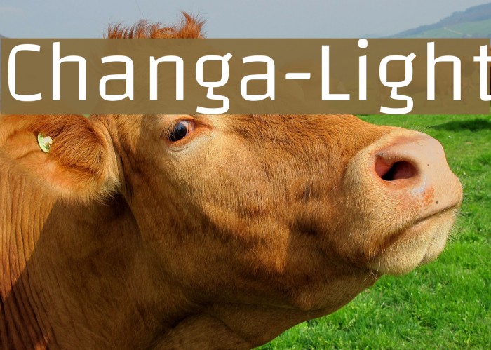 Changa-Light Font - FFonts.net