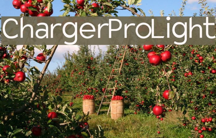 Charger Pro Light Font - FFonts.net