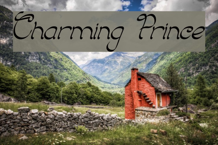 Charming Prince Font - FFonts.net