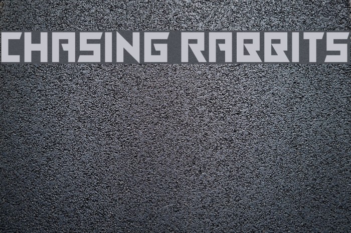 Chasing Rabbits Font - FFonts.net