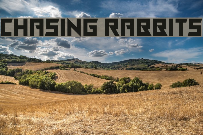 Chasing Rabbits Font - FFonts.net