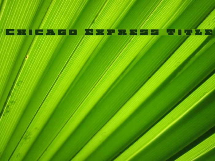 Chicago Express Title Font - FFonts.net