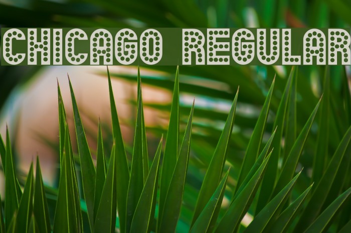 Chicago Regular Font - FFonts.net