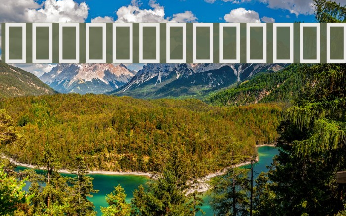 Chin Font - FFonts.net