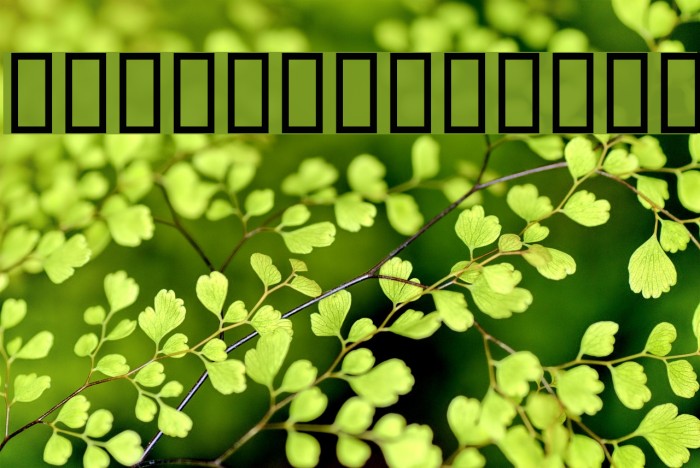 Chin Font - FFonts.net