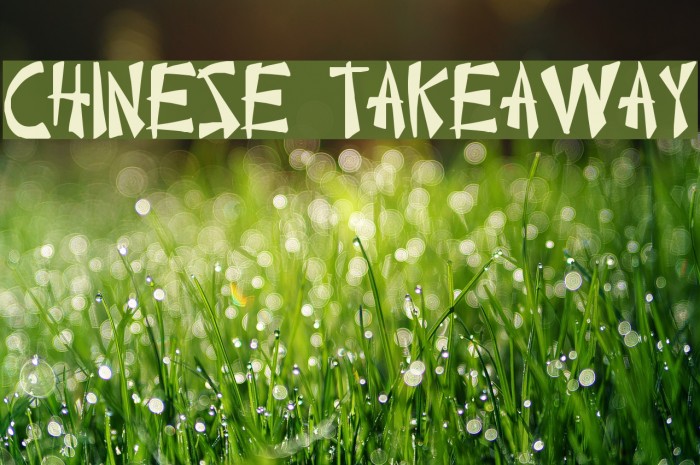Chinese Takeaway Font - FFonts.net