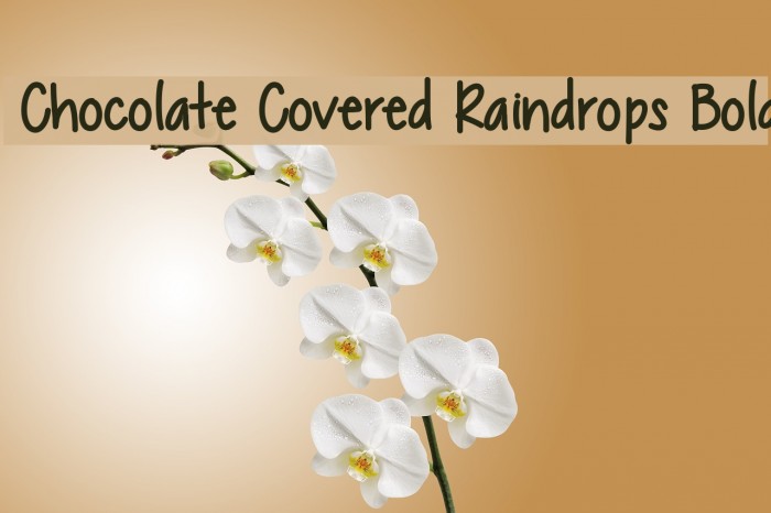 Chocolate Covered Raindrops Bold Font - FFonts.net