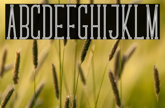 Chokie Crossline Style Font | Free Download (TTF/OTF) | FFon