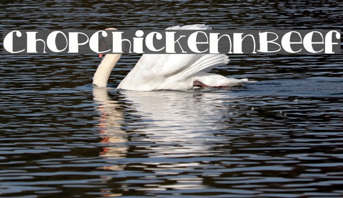ChopChickennBeef Font - FFonts.net