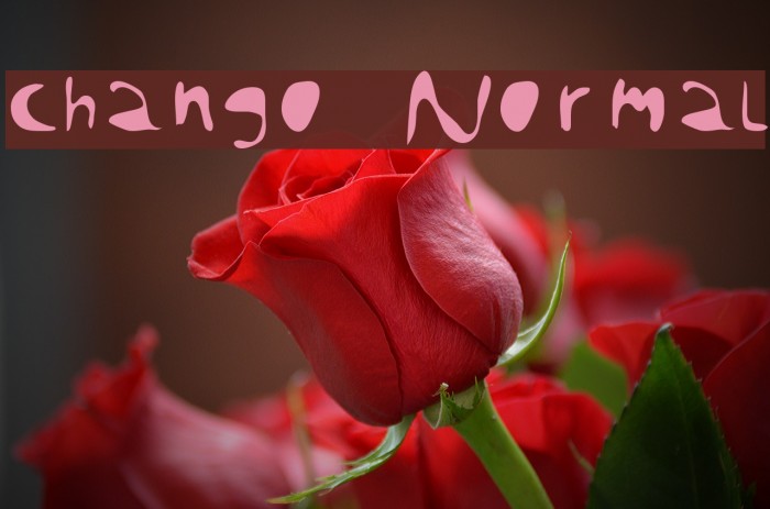 chango Normal Font - FFonts.net