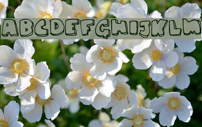 chunky Font - FFonts.net