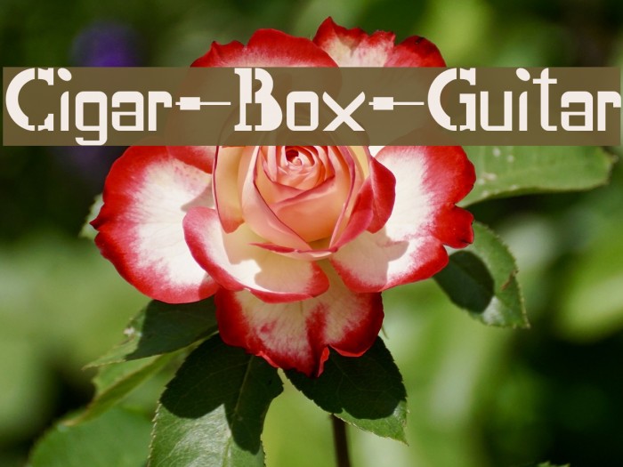 Cigar-Box-Guitar Font - FFonts.net