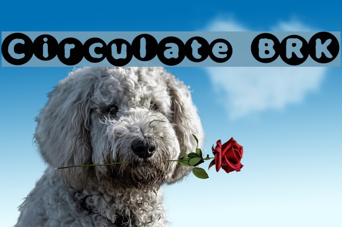 Circulate [BRK] Font - FFonts.net