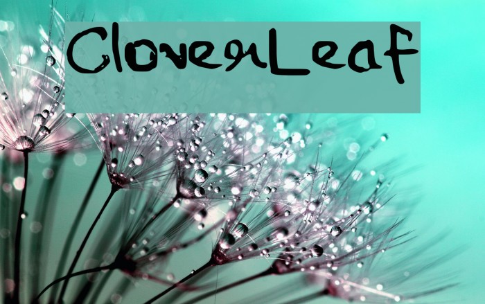 CloverLeaf Font - FFonts.net
