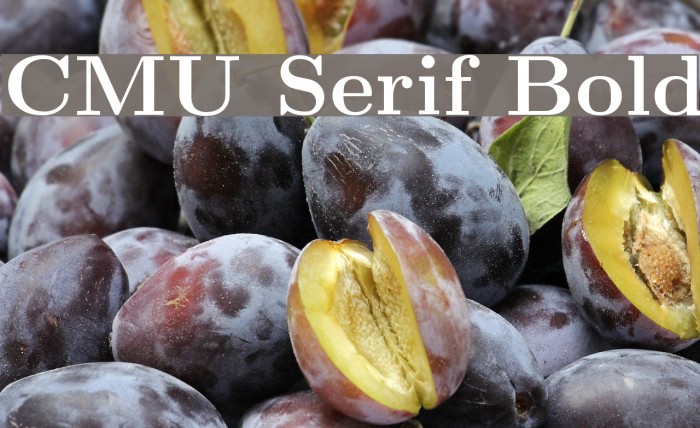 Cmu Serif Bold Font 
