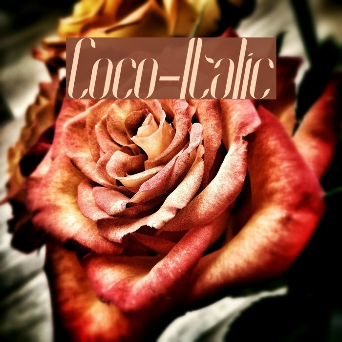 Coco-Italic Font - FFonts.net