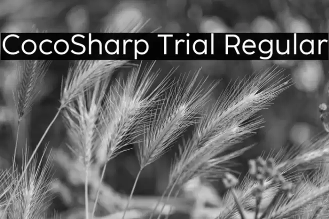 CocoSharp Trial Regular Font | Free Download (TTF/OTF) | FFo