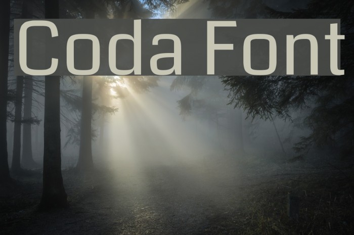 Coda Font - FFonts.net