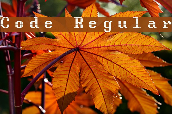 Code Regular Font - FFonts.net