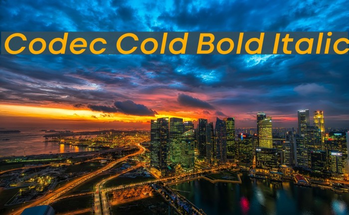 Codec Cold Bold Italic Font - FFonts.net