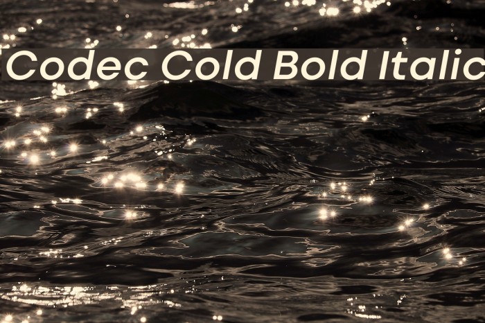 Codec Cold Bold Italic Font - FFonts.net