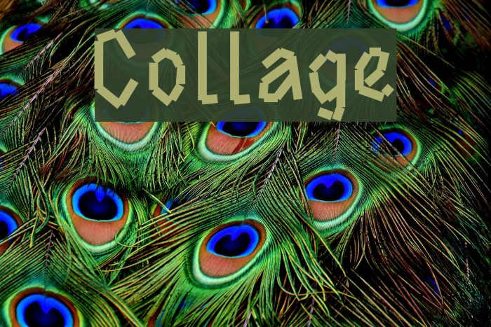 Collage Font - FFonts.net