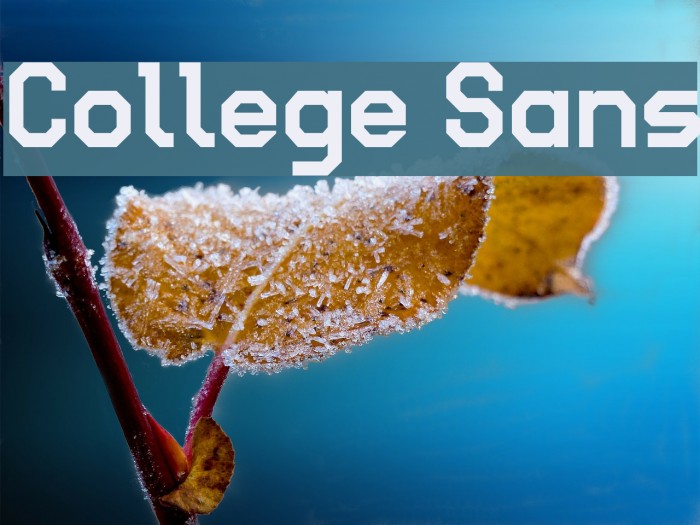 College Sans Font - FFonts.net