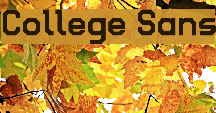 College Sans Font - FFonts.net
