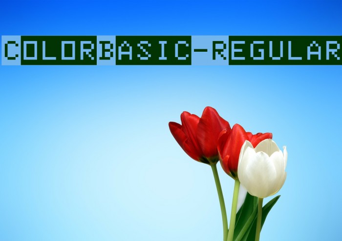 ColorBasic-Regular Font - FFonts.net