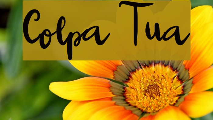 Colpa Tua Font - FFonts.net