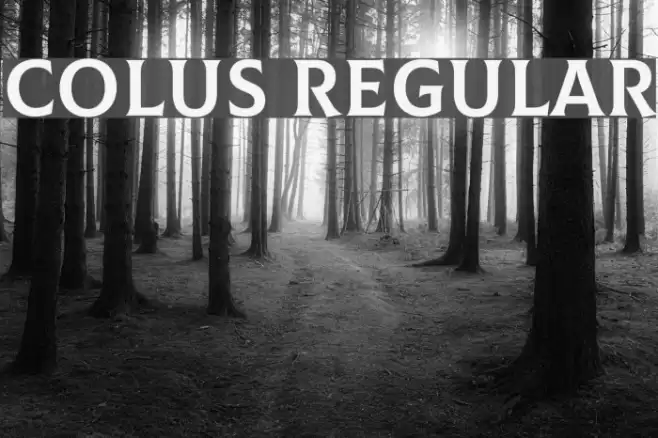 Colus Regular Font | Free Download (TTF/OTF) | FFonts.net