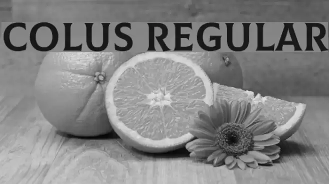 Colus Regular Font - Free Download (TTF/OTF) | FFonts.net