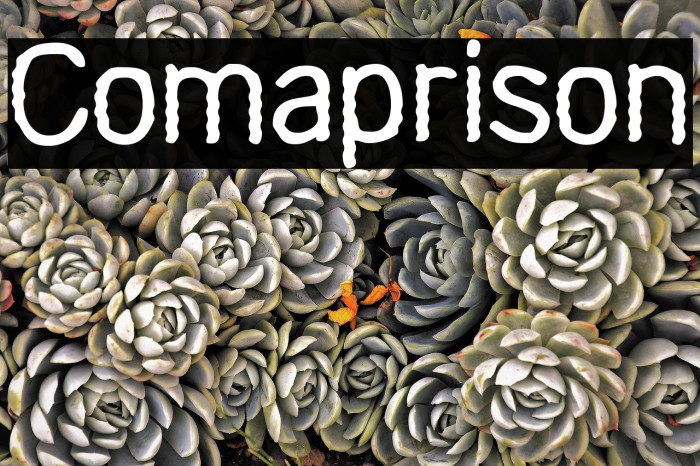 Comaprison Font - FFonts.net