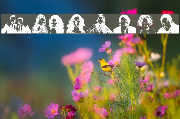 Comic Relief Medium Font - FFonts.net